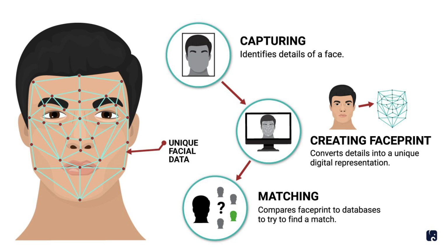 Facial Recognition Vs Fingerprint Scanning - Innov8tif